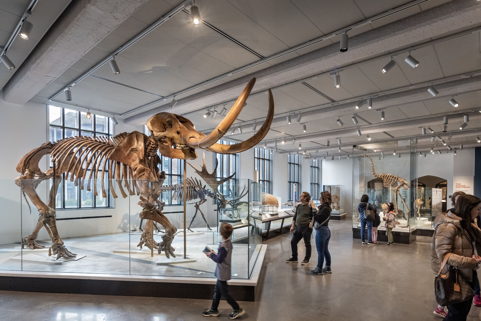 Yale Peabody Museum - Education Snapshots