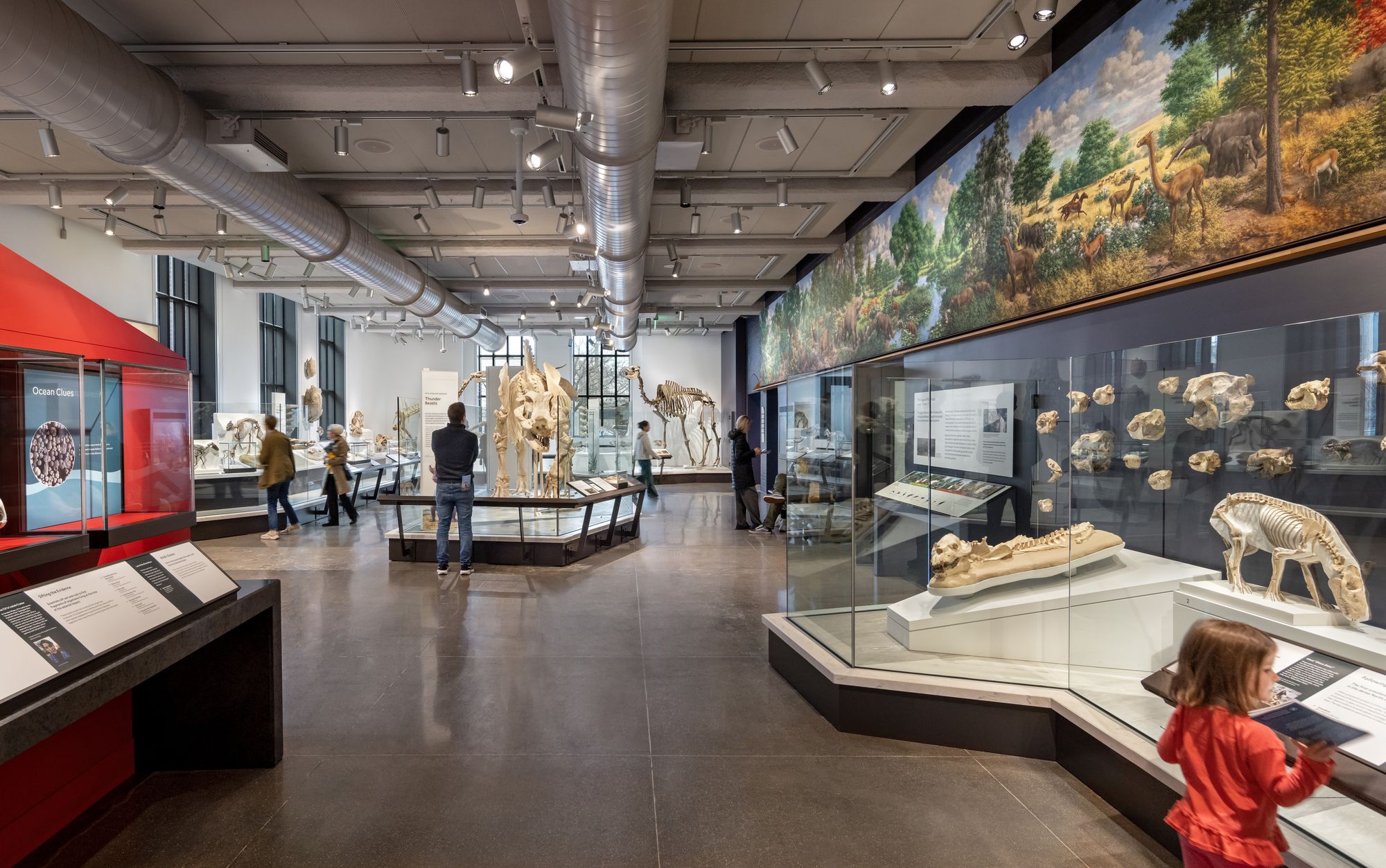Yale Peabody Museum - Education Snapshots