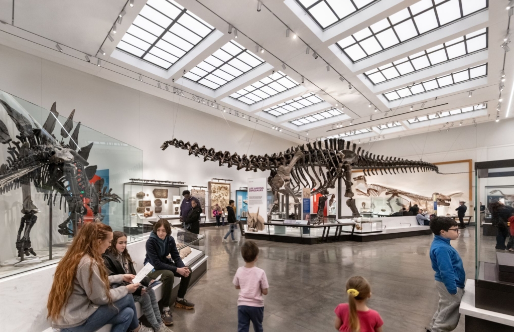 Yale Peabody Museum - Education Snapshots