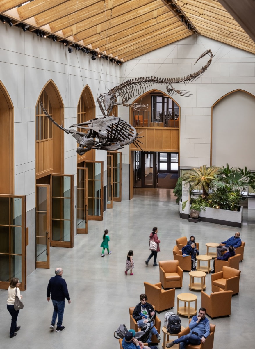 Yale Peabody Museum - Education Snapshots