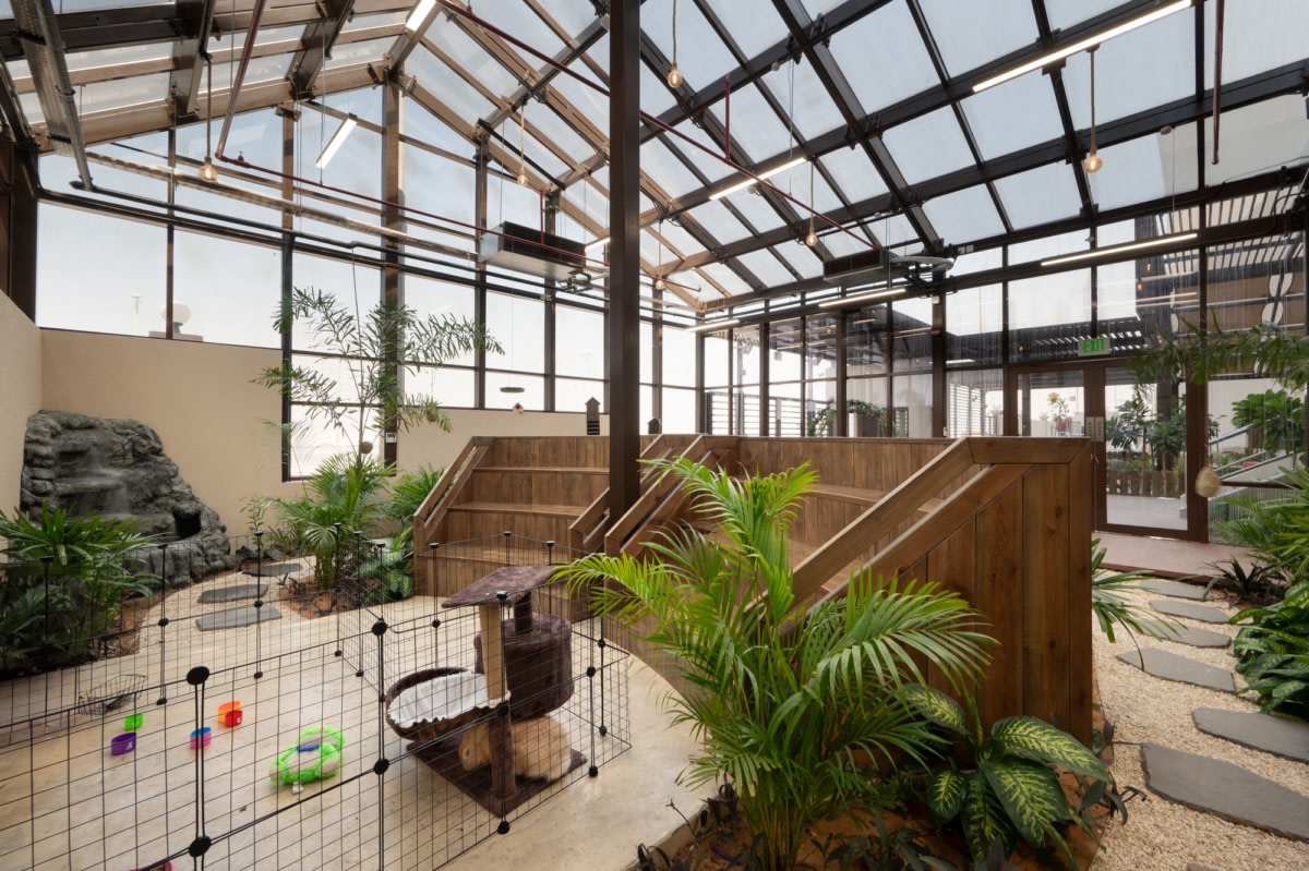 British International School Abu Dhabi (BISAD) - Eco Ed-Venture - Education Snapshots