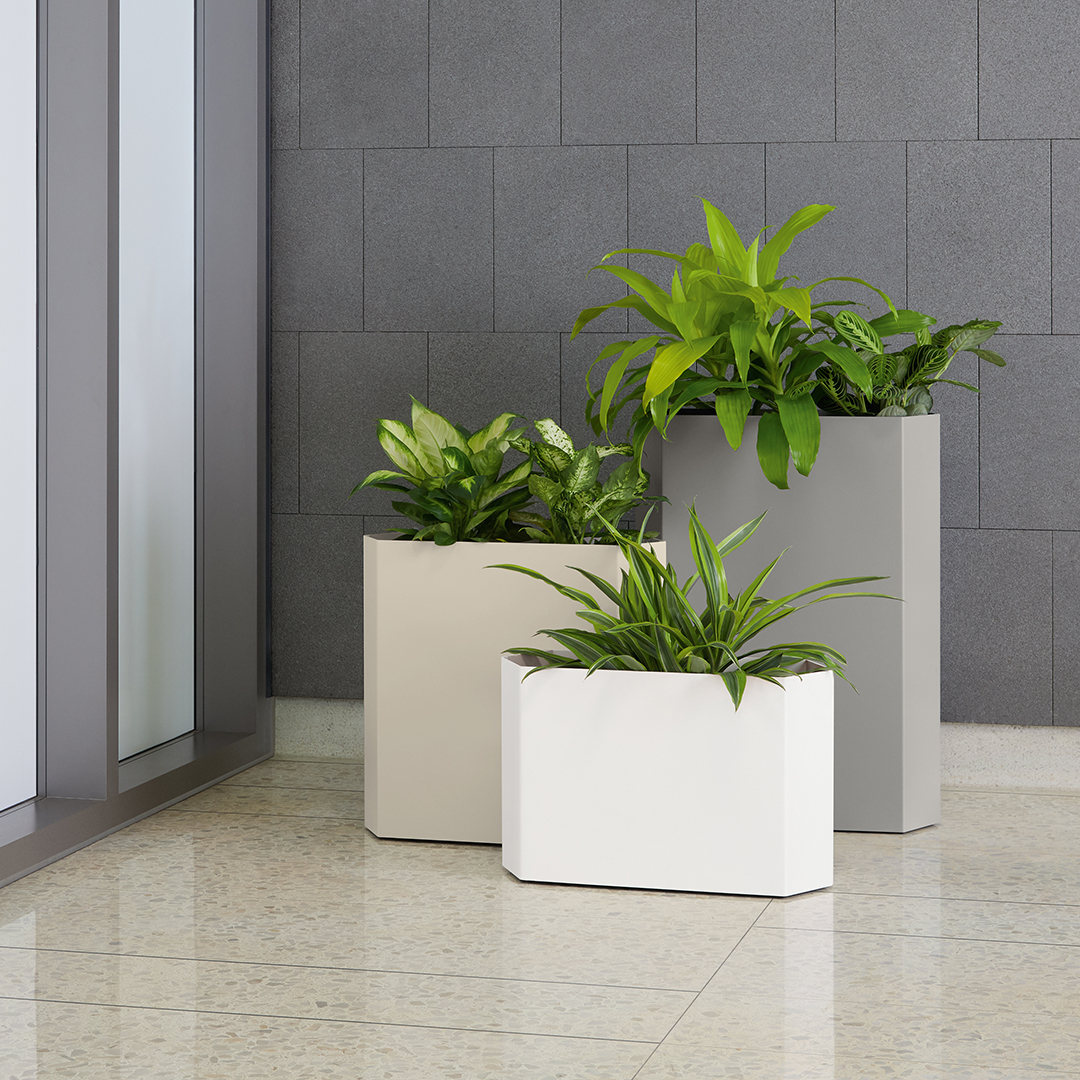 Hexadecimal Planters - Education Snapshots