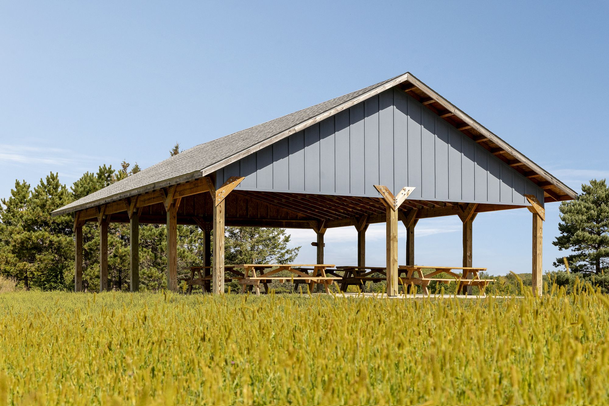 YMCA Camp Gathering Pines - Education Snapshots