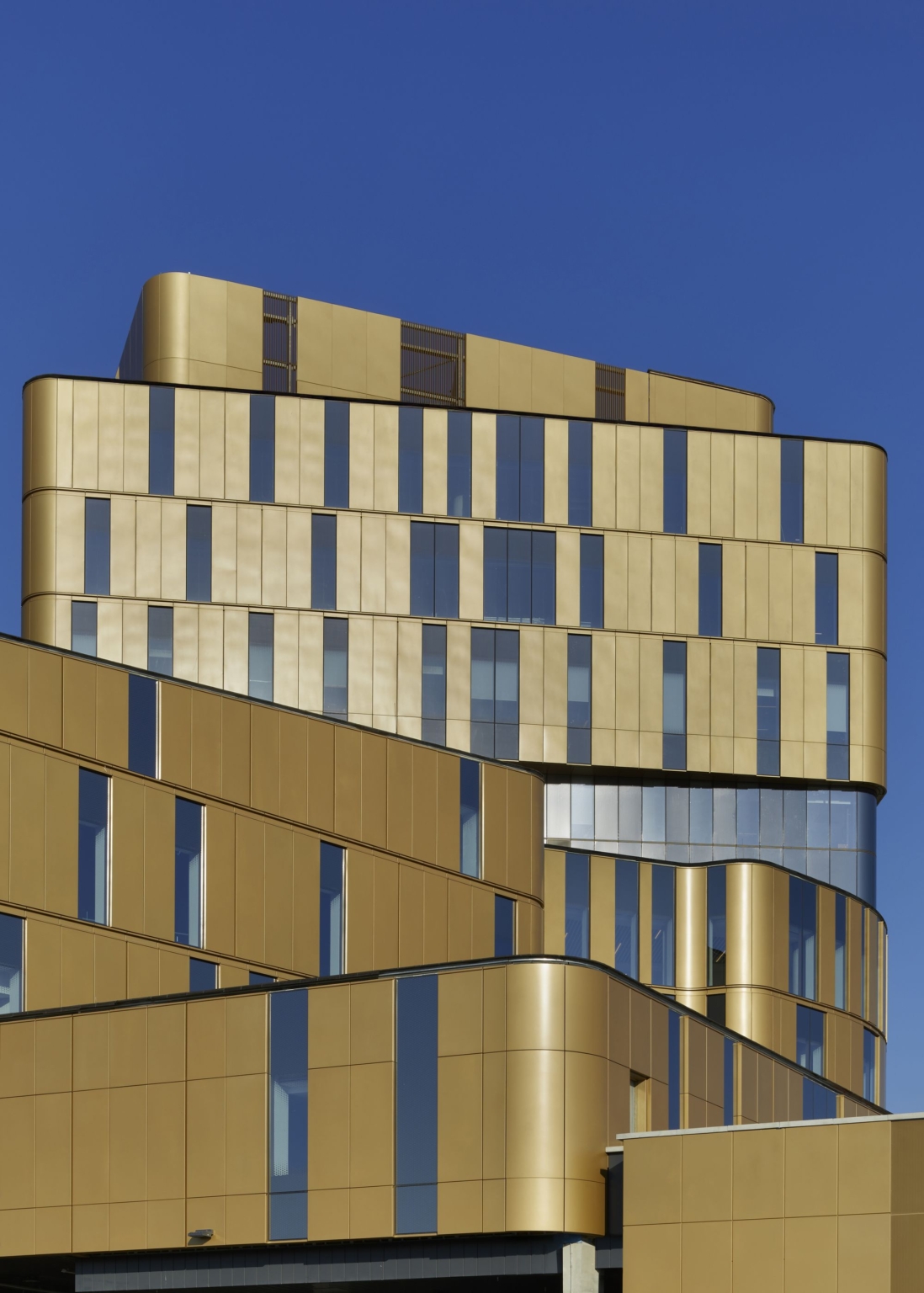 York University - Markham Campus - Education Snapshots