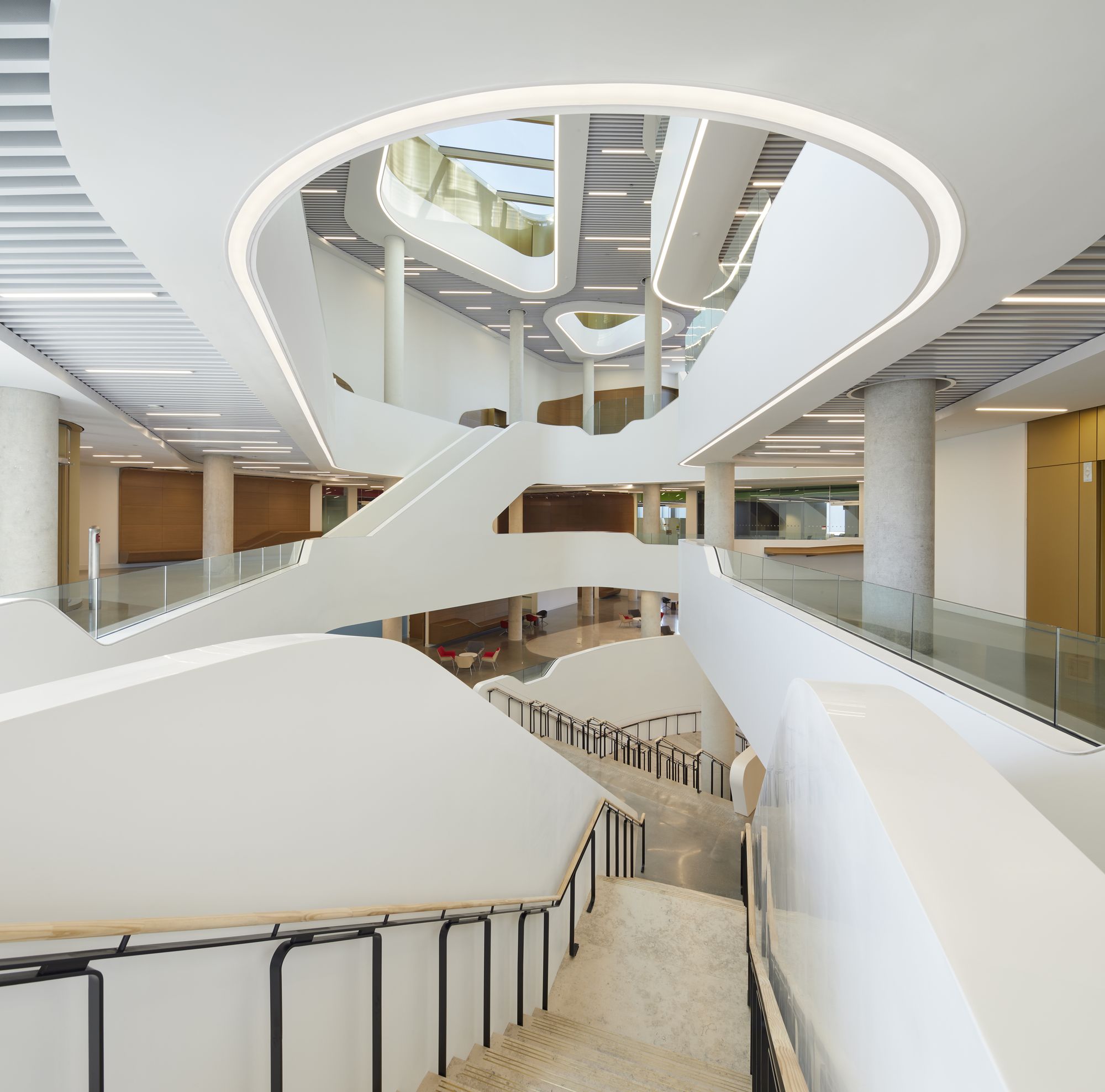 York University - Markham Campus - Education Snapshots